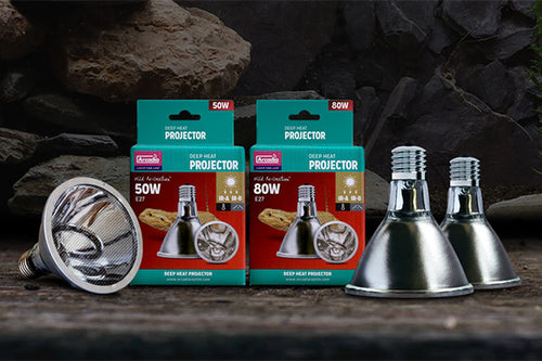 What is a Deep Heat Projector, how to use one correctly and how do the