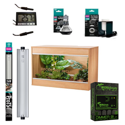 Bearded Dragon Starter Kits | Next Day Delivery | Internet Reptile