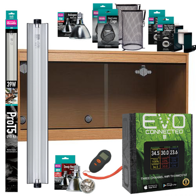 Bearded Dragon Starter Kits | Next Day Delivery | Internet Reptile